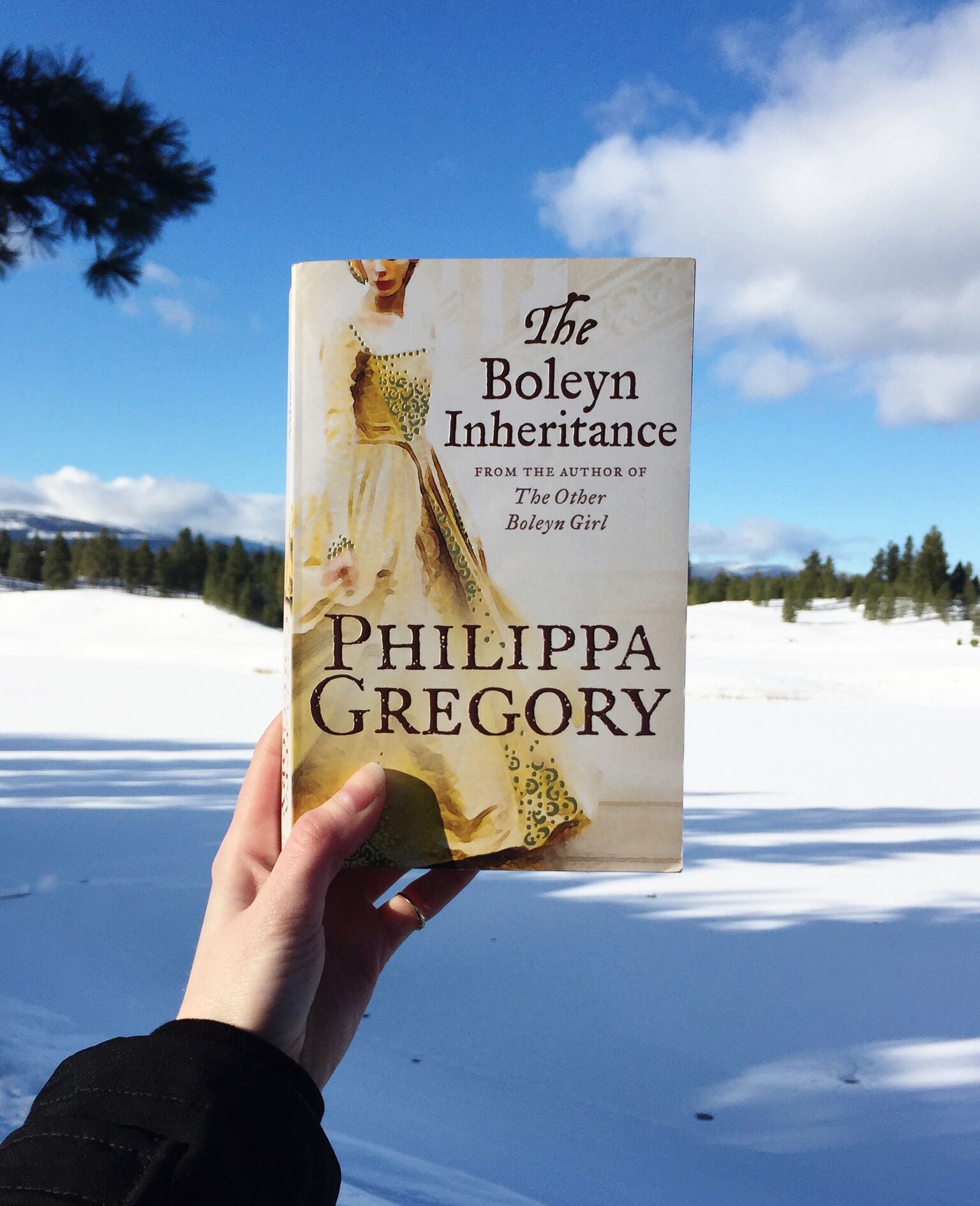 Book Review: The Boleyn Inheritance by Philippa Gregory – Hooked to Books