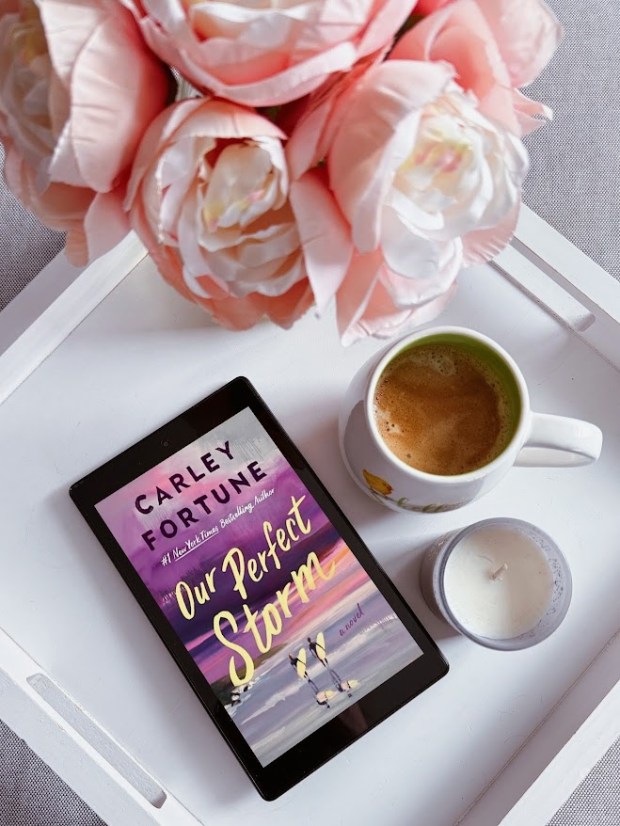 Book Review: Our Perfect Storm by Carley Fortune – Hooked to Books